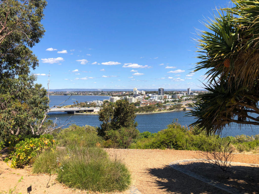 Tribe Perth - Rachel Heslop-7670 | The Project Lifestyle